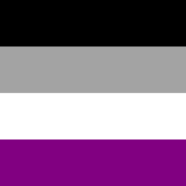 Guide to Pride Flags | Adirondack North Country Gender Alliance