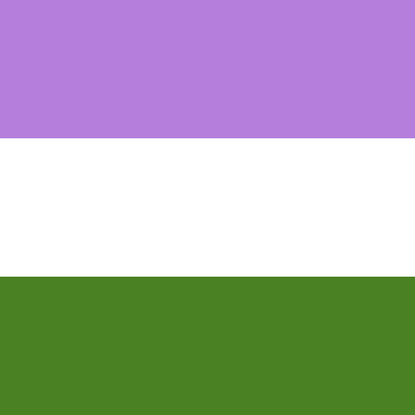 Guide to Pride Flags | Adirondack North Country Gender Alliance