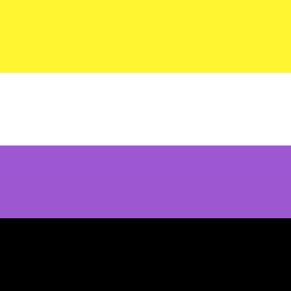 Guide to Pride Flags | Adirondack North Country Gender Alliance