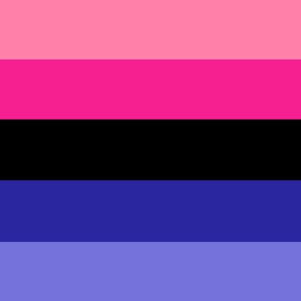 Guide to Pride Flags | Adirondack North Country Gender Alliance