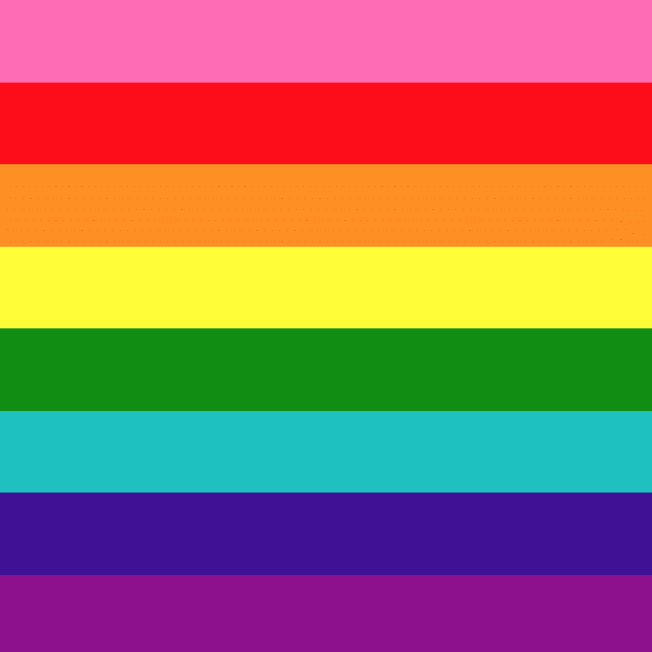 Guide to Pride Flags | Adirondack North Country Gender Alliance