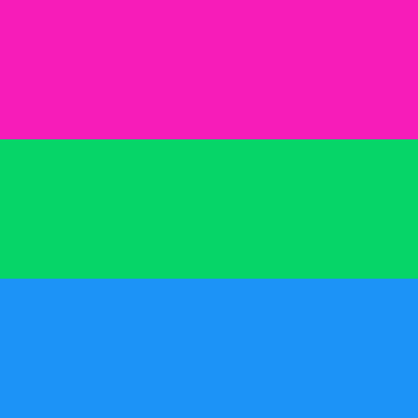Guide to Pride Flags | Adirondack North Country Gender Alliance