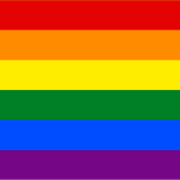 Guide to Pride Flags | Adirondack North Country Gender Alliance