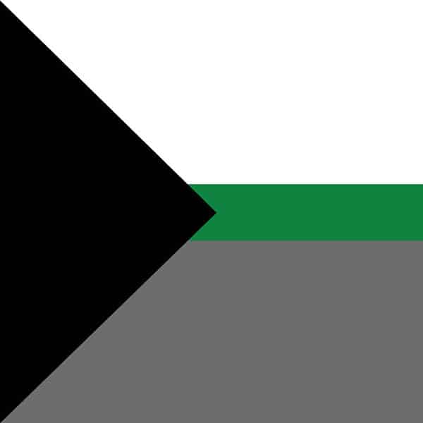 Guide to Pride Flags | Adirondack North Country Gender Alliance