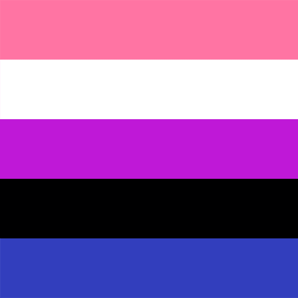 Guide to Pride Flags | Adirondack North Country Gender Alliance