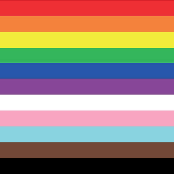 Guide to Pride Flags | Adirondack North Country Gender Alliance