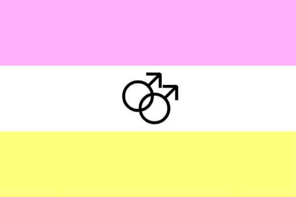 Guide to Pride Flags | Adirondack North Country Gender Alliance